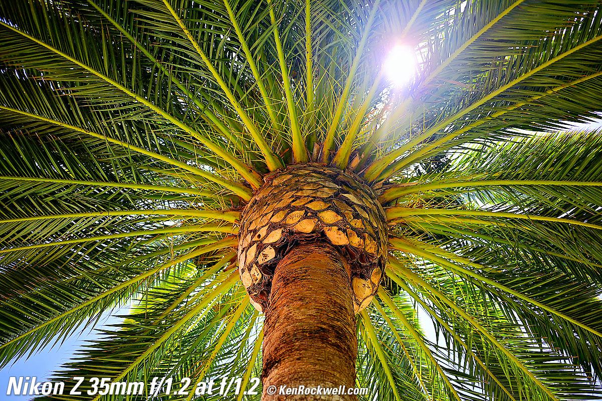 Nikon Z 35mm f/1.2 Review & Sample Image Files by Ken Rockwell